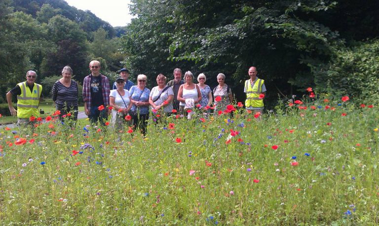 New - Level 1 walk from Madeley Doctors Practice - Walking For Health ...